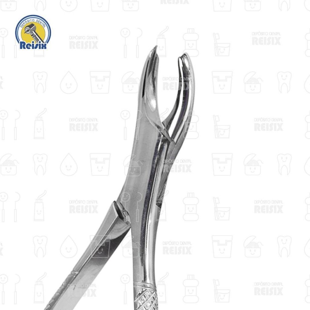 Fórceps adulto y especiales Molares Derechos Superiores 6b (18R) - Depósito Dental REISIX